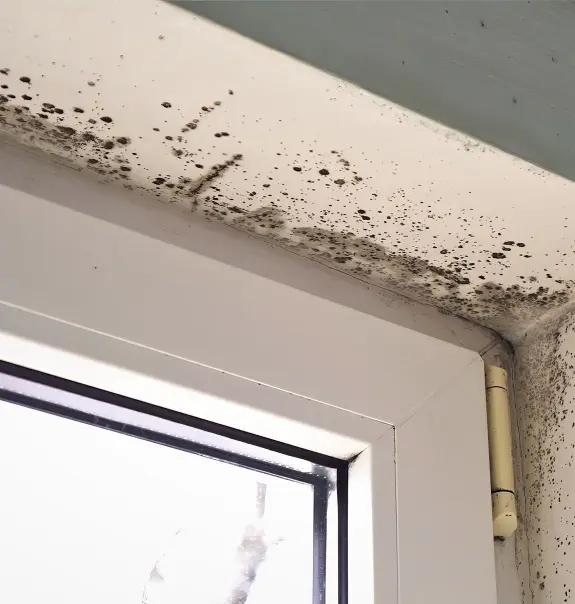 UHU | Combater bolor - Parede